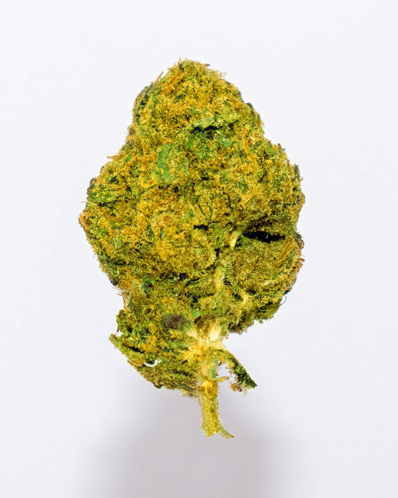 Best THCA Hemp Flower & Weed Charlotte NC | Marijuana Strains & Effects ...