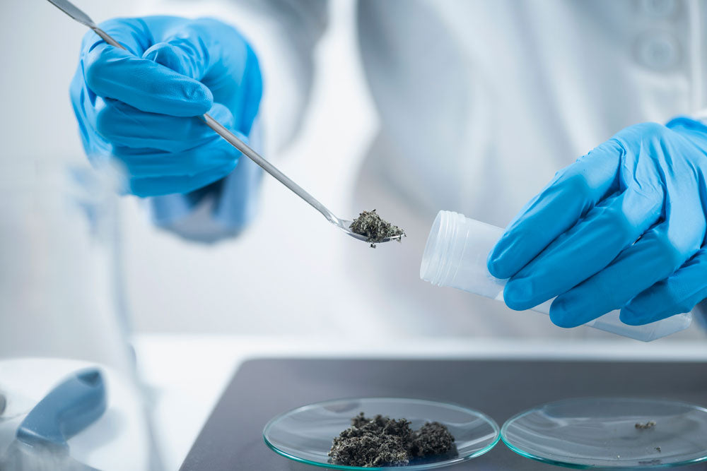 THCA Weed near Charlotte NC | THCA Flower | Dugout | best thca | Tosi